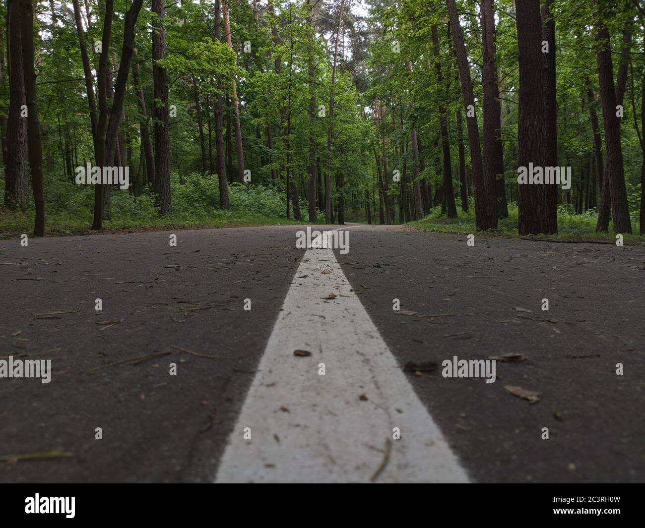 road marking. dividing line on the asphalt. lane for cars and bicycle ...