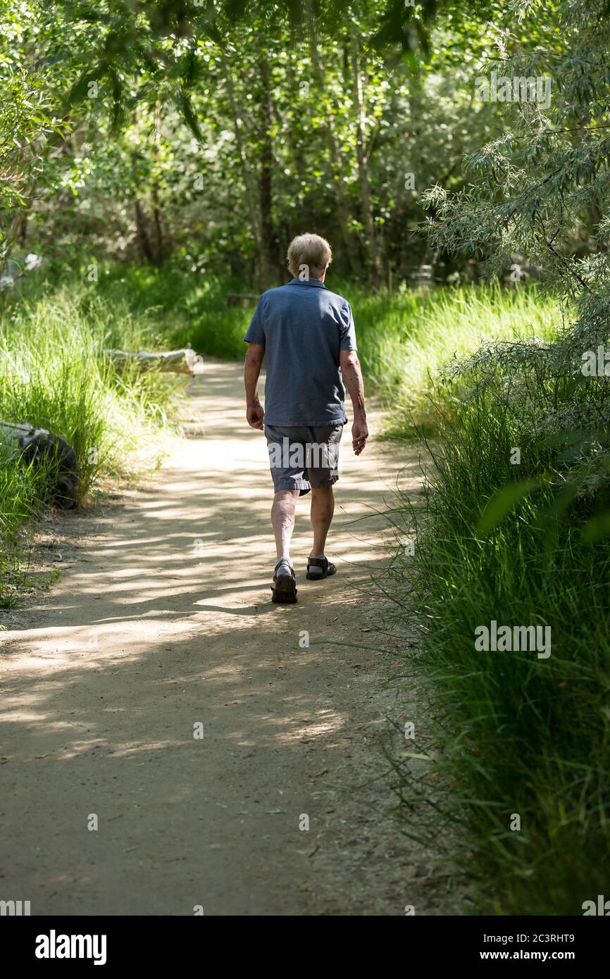 Old man out for a walk on a path in a park Stock Photo - Alamy