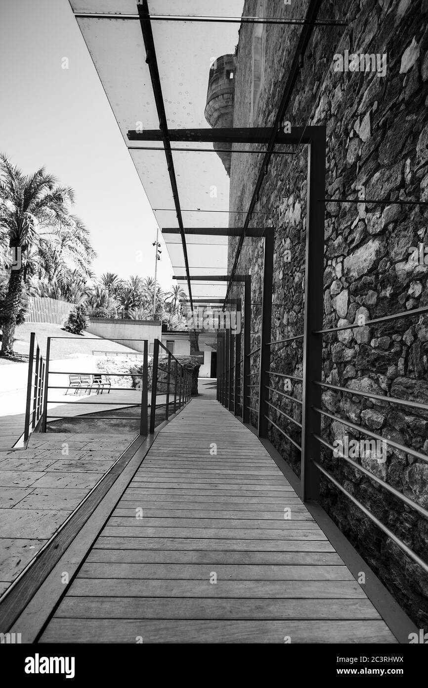 Palm tree wall path Black and White Stock Photos & Images - Alamy