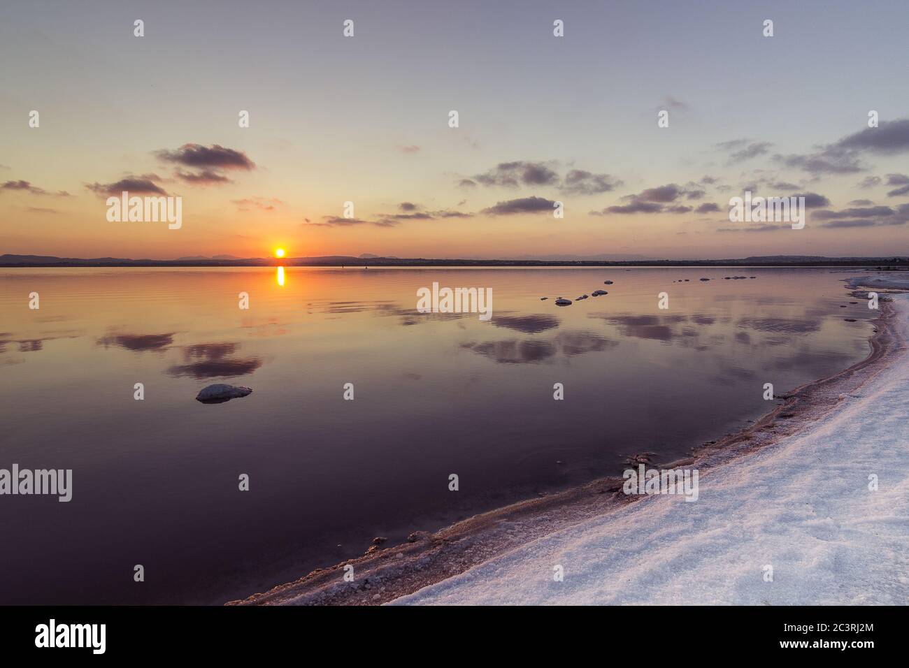 Amazing shot of a beach with purple water on a sunset background Stock ...