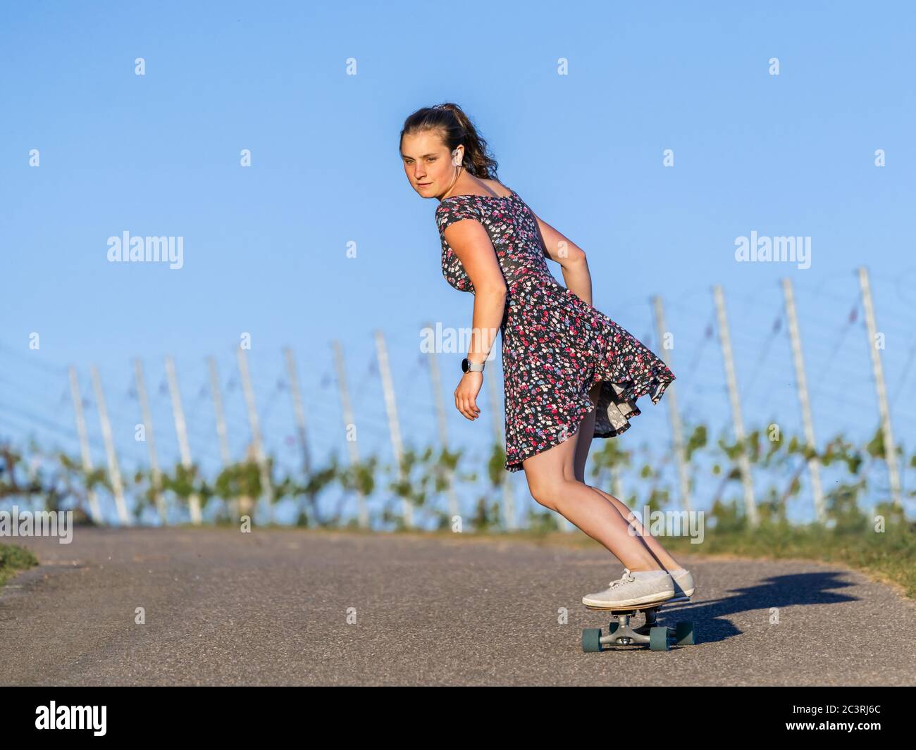 Young woman skateboarding on an empty road surrounded by greenery Stock ...