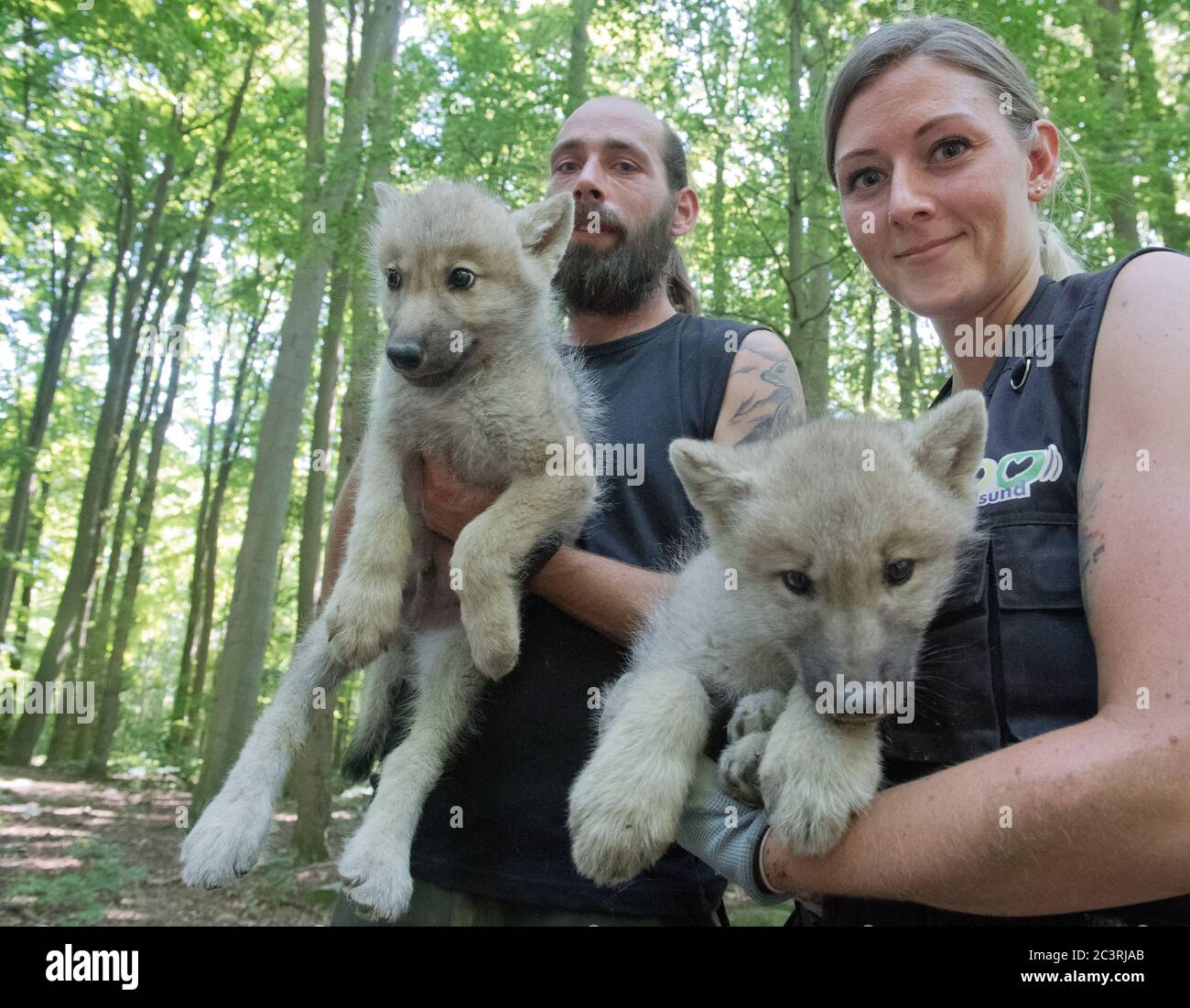 Stralsund, Germany. 17th June, 2020. Peter Griebner, animal keeper, and ...