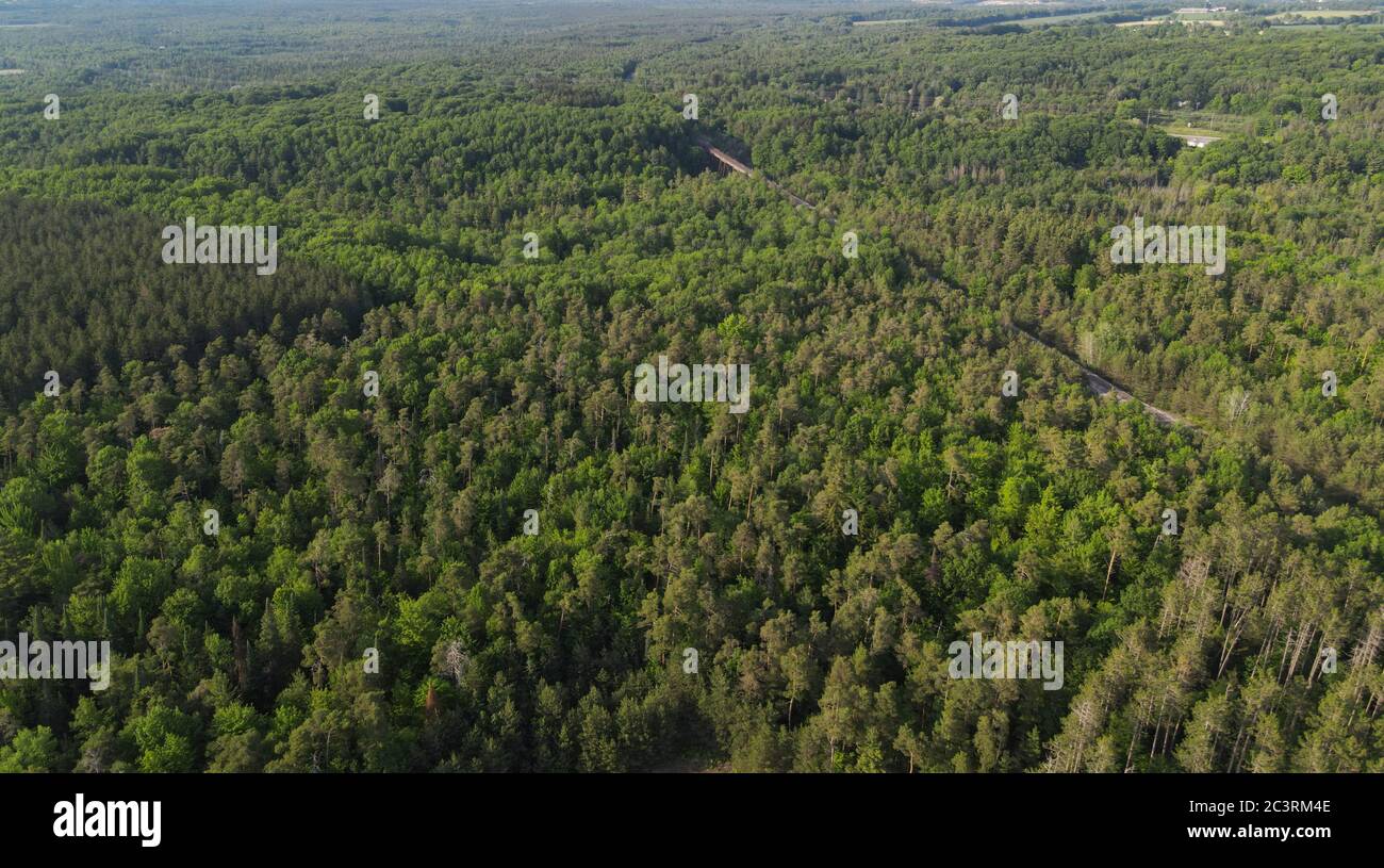 Canadian forest aerial hi-res stock photography and images - Alamy