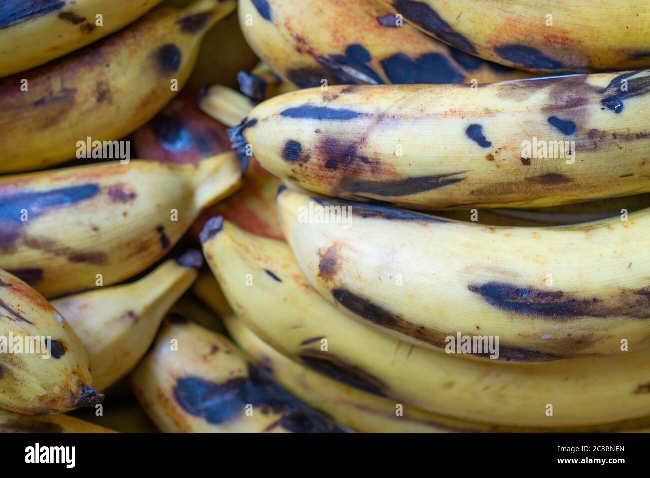 Pile of Nigerian Ripe plantain to be deep fried into Dodo Stock Photo ...