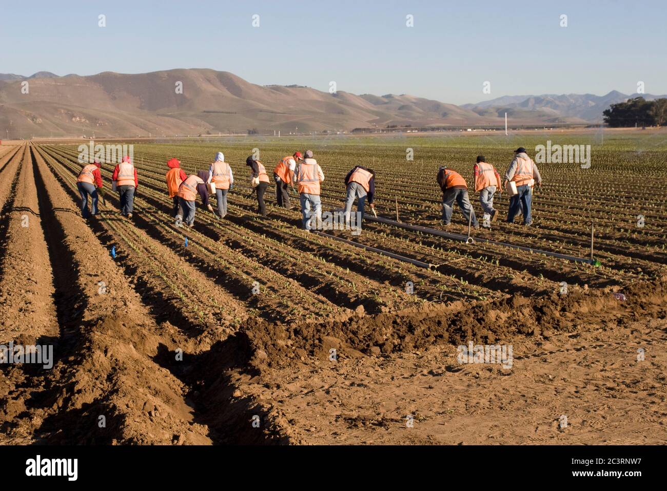 farm workers going into field to work Stock Photo - Alamy