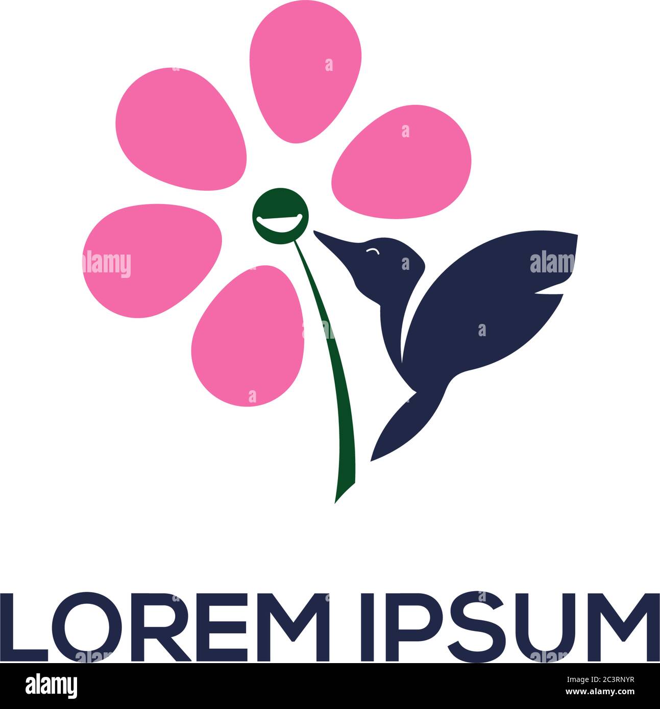 humming bird logo illustration, flower and bird logo template can use ...