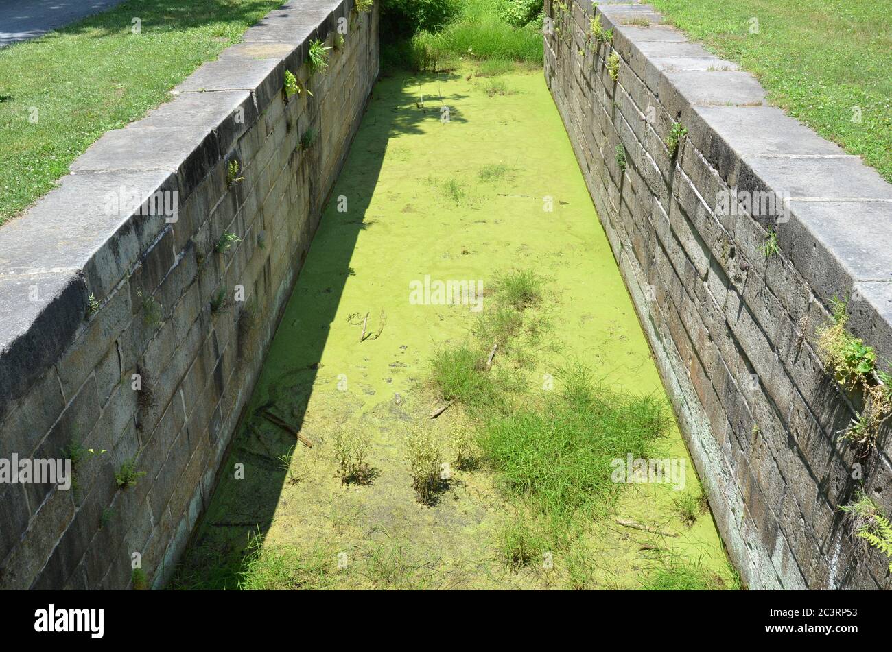 old canal with stone wall and green algae and water Stock Photo - Alamy