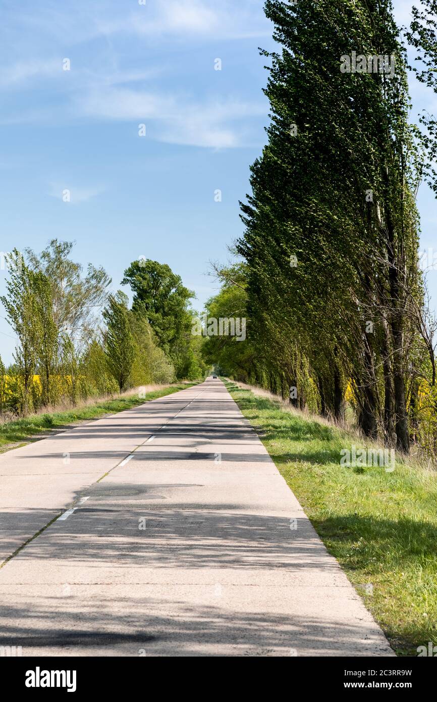 shadows on asphalt near green grass and trees Stock Photo - Alamy
