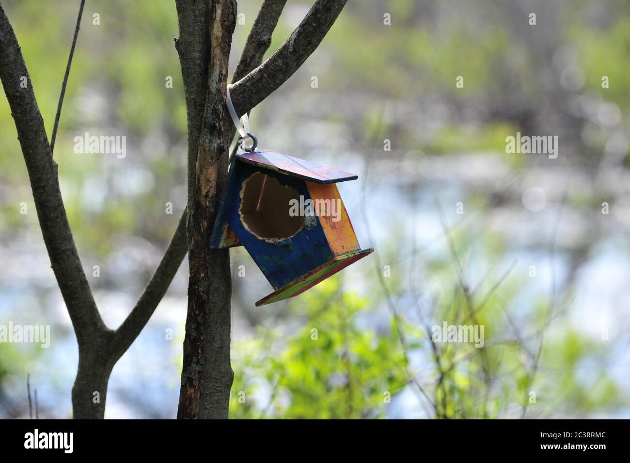 Bird box nest hi-res stock photography and images - Alamy