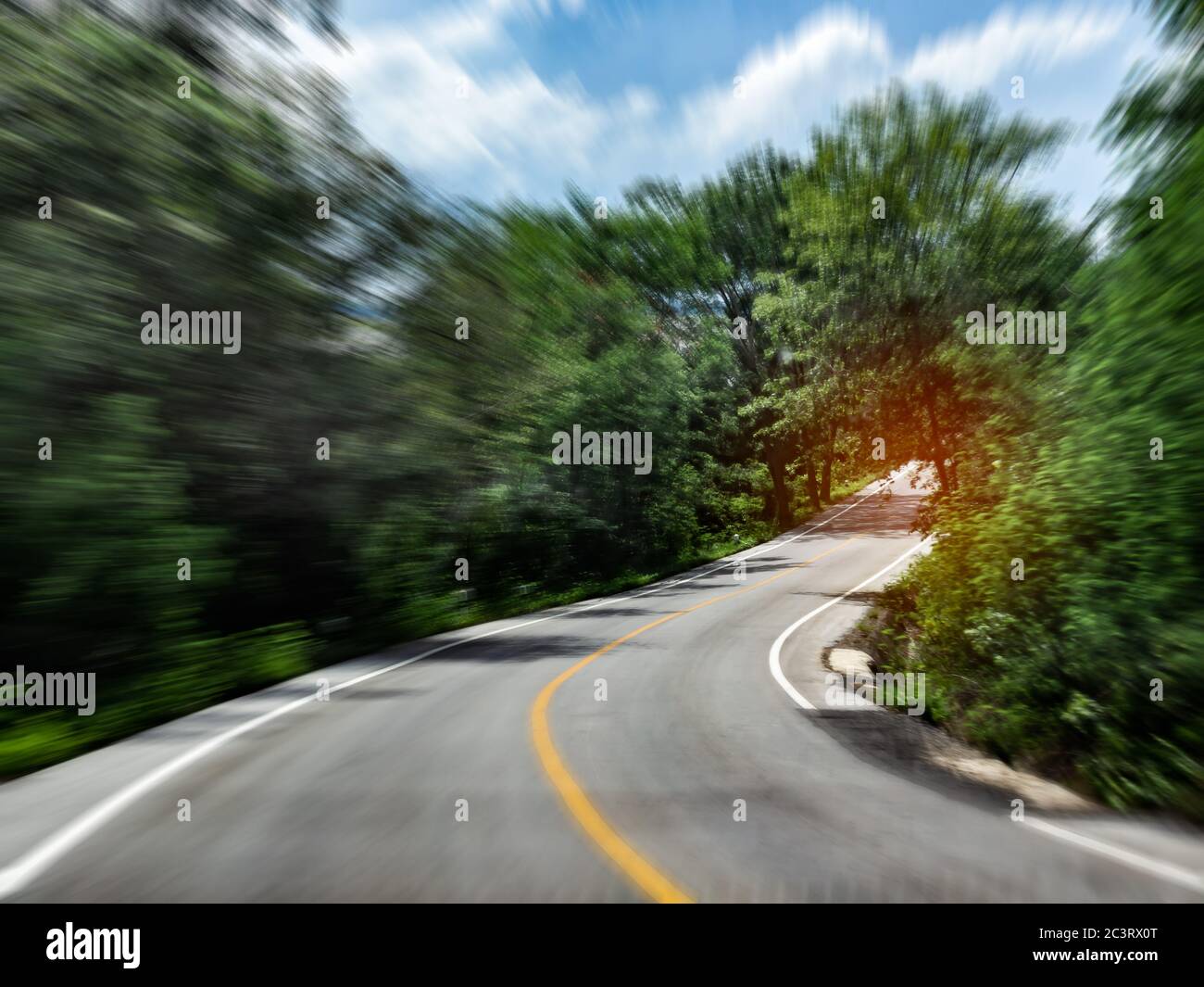 Blurred curve road surrounded with green rainforest in summertimes ...