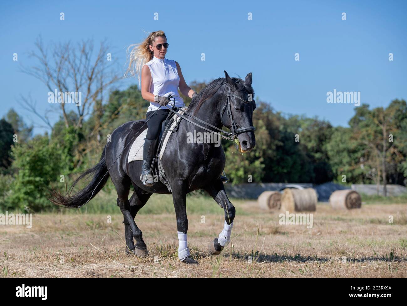 riding girl are training her black horse Stock Photo - Alamy