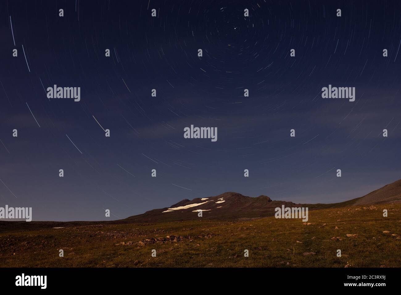 Starry night sky over the grass field Stock Photo - Alamy