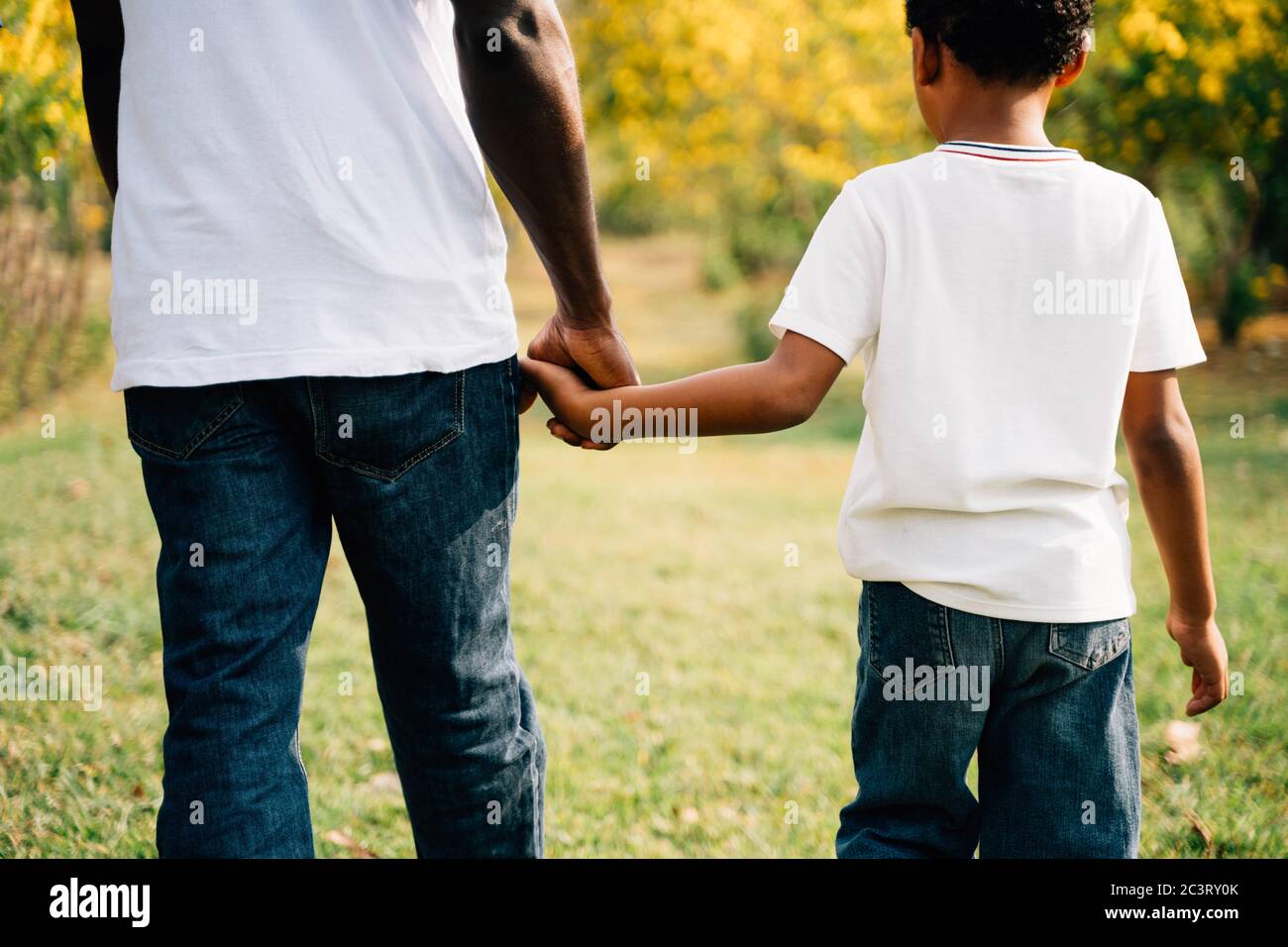 African American Father And Son Holding Hands In The Outdoor Park