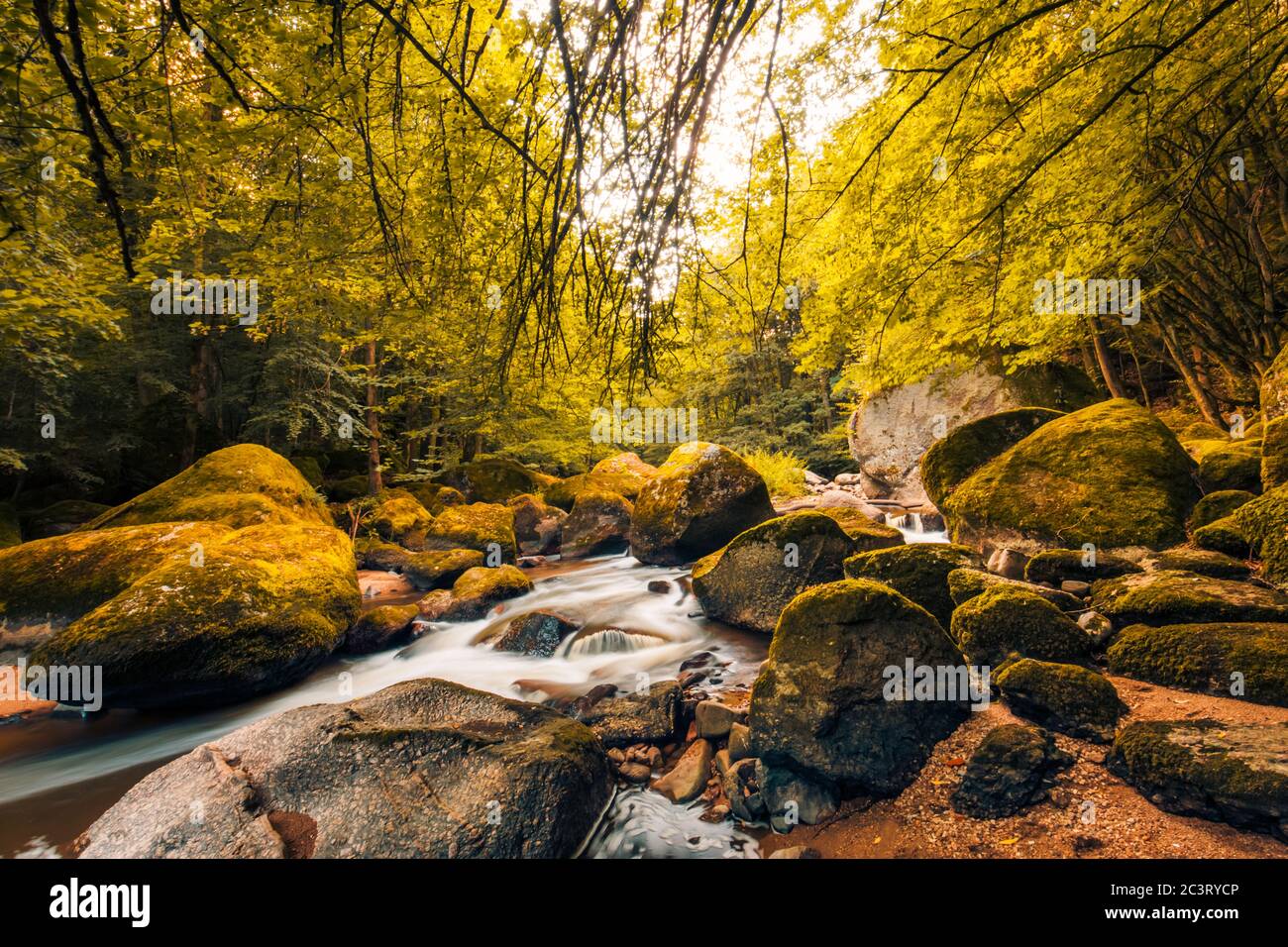 Autumnal forest, rocks covered with moss, fallen leaves. Mountain river ...