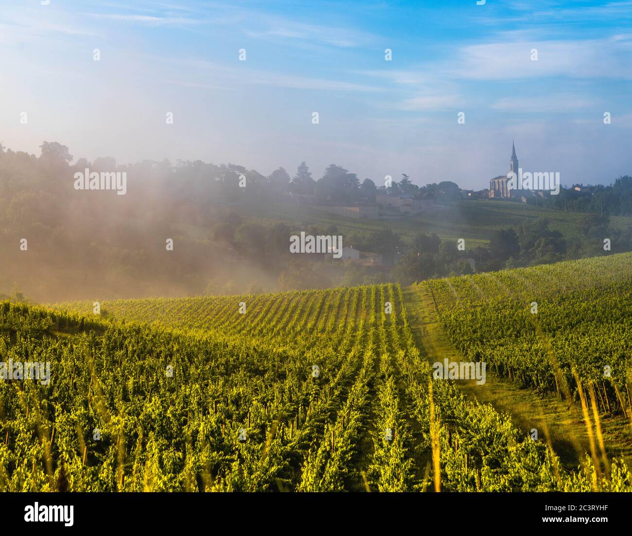 Sunset landscape, Bordeaux wineyard, Tabanac, France Stock Photo - Alamy
