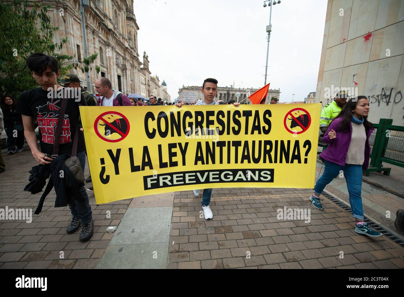 Bull banner hi-res stock photography and images - Alamy