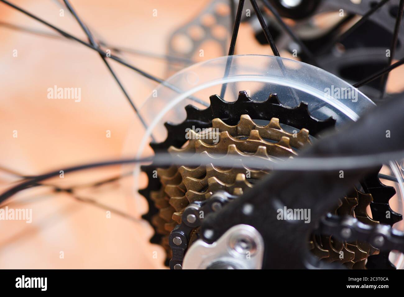 Rear wheel and chain in a mountain bike / The back disc brake bike ...