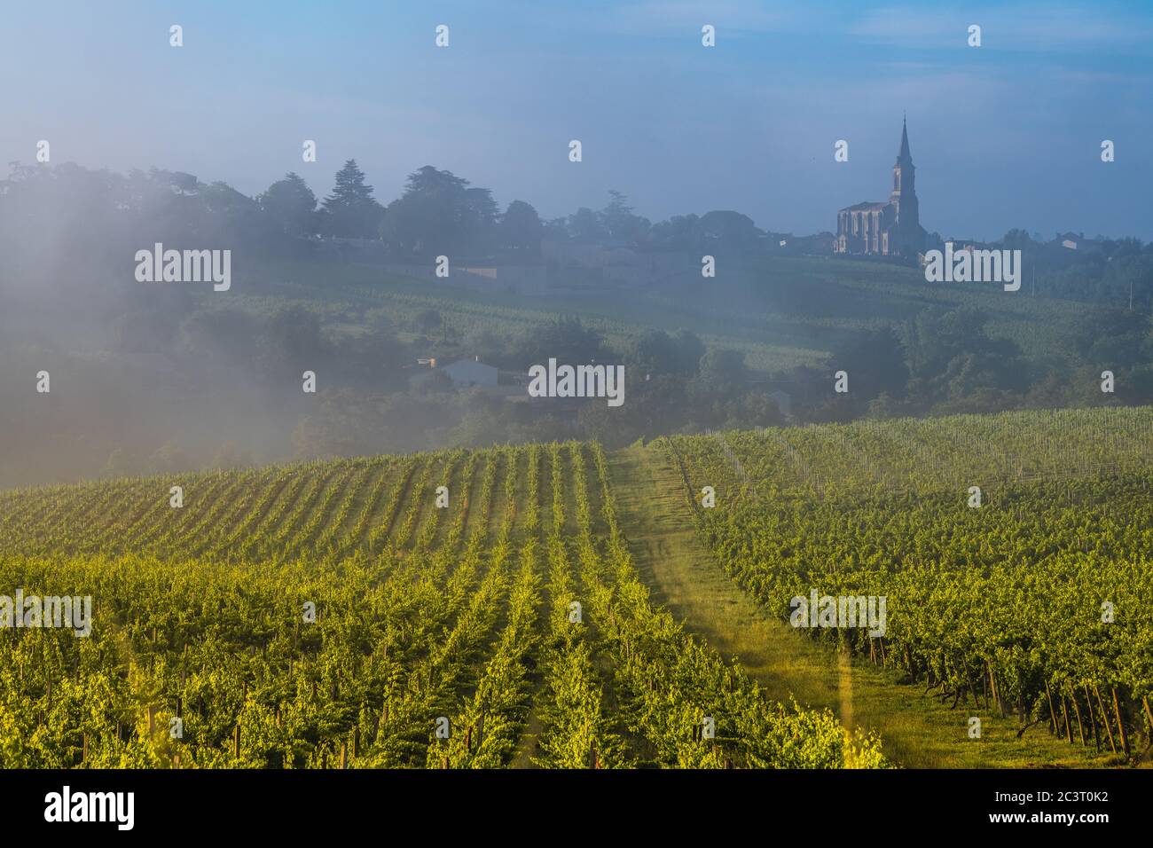 Sunset landscape, Bordeaux wineyard, Tabanac Stock Photo - Alamy