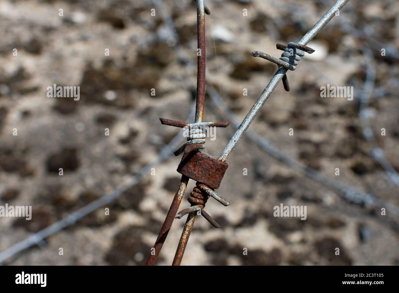 Rusty barbed wire from World War II with blurred background Stock Photo ...