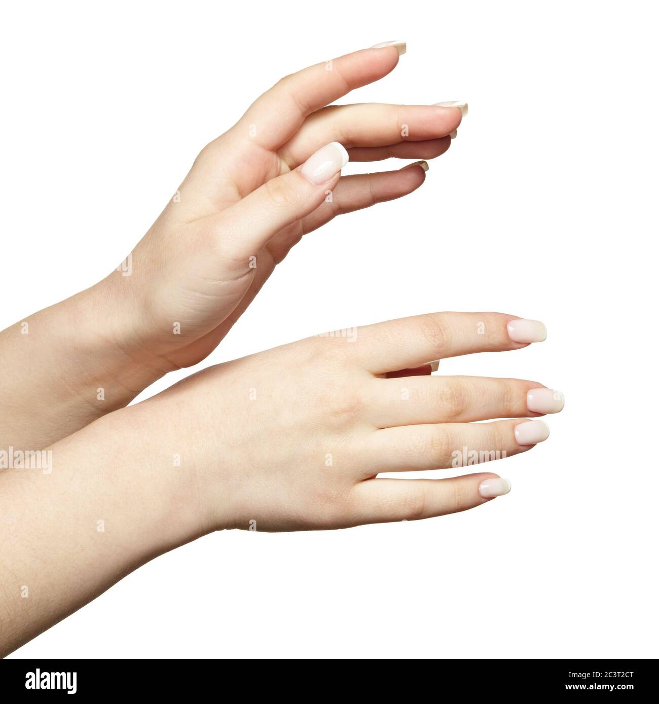 Female hands with woman's professional natural perfect french nails ...