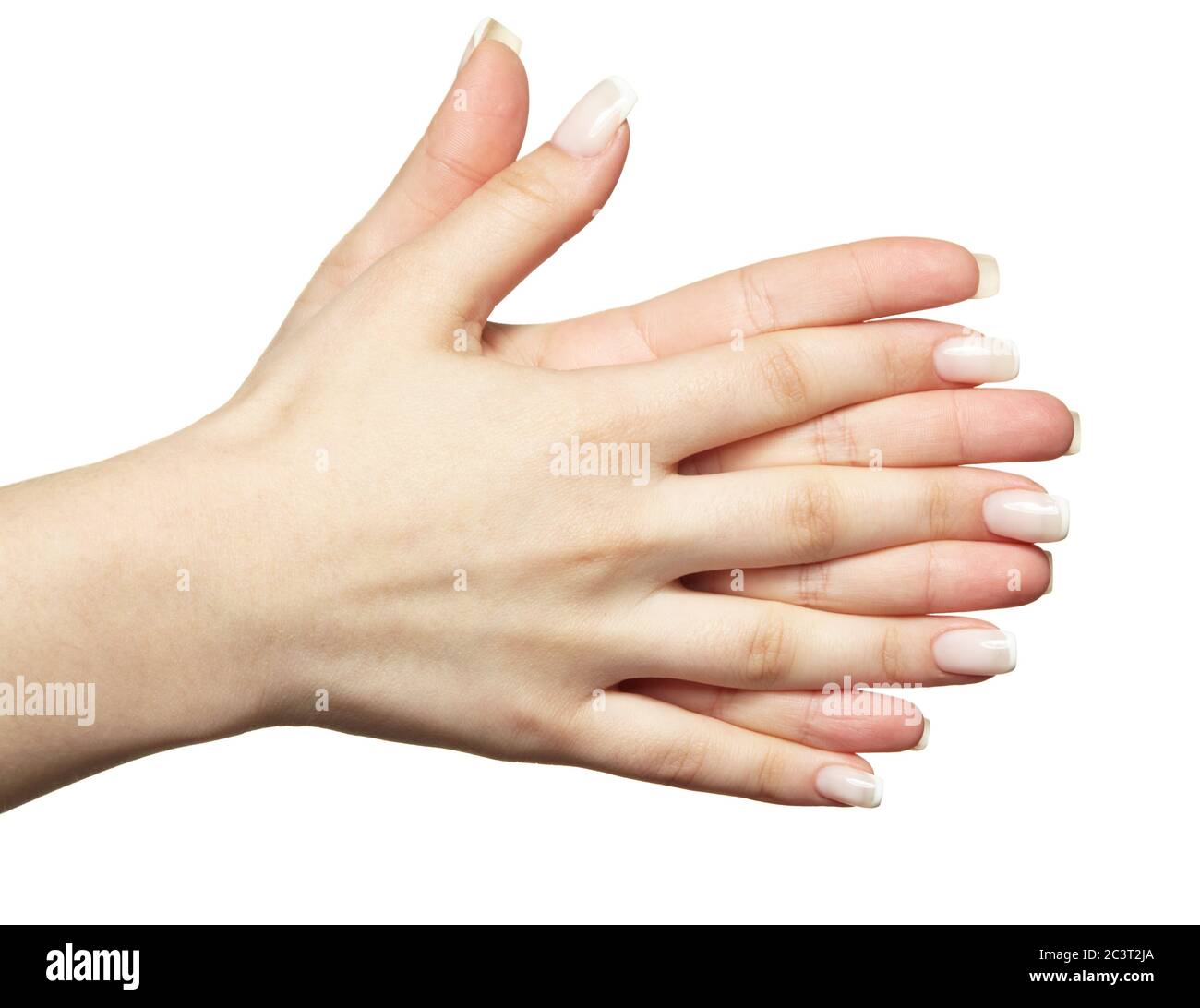 Female hands with woman's professional natural perfect french nails ...