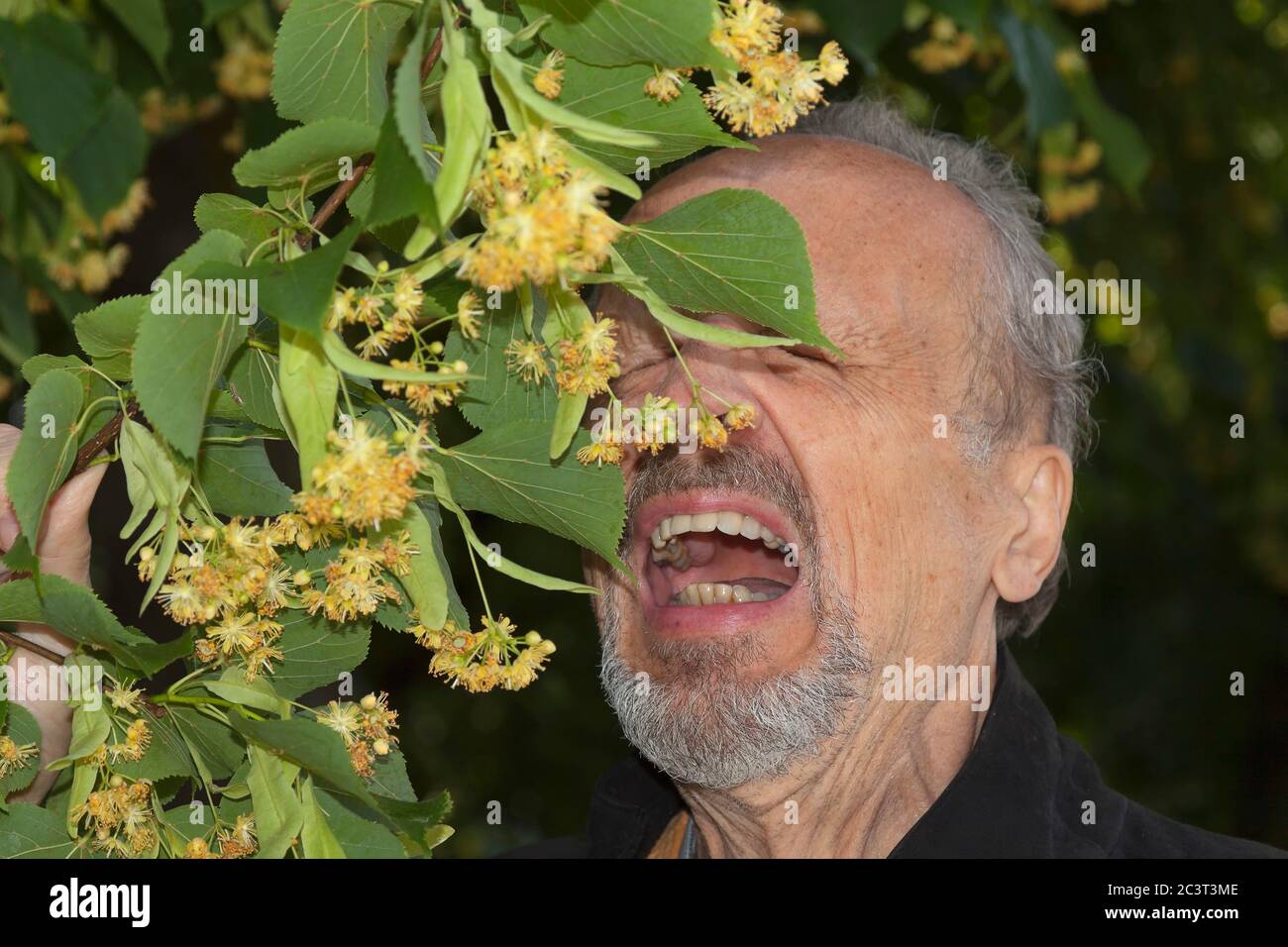 Pollenosis hi-res stock photography and images - Alamy