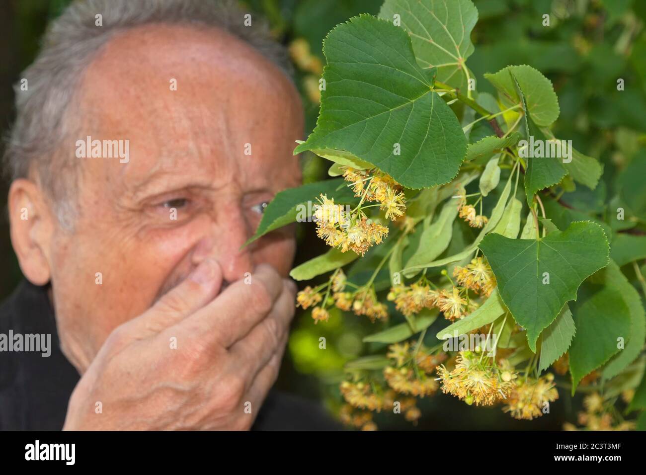 Pollenosis hi-res stock photography and images - Alamy