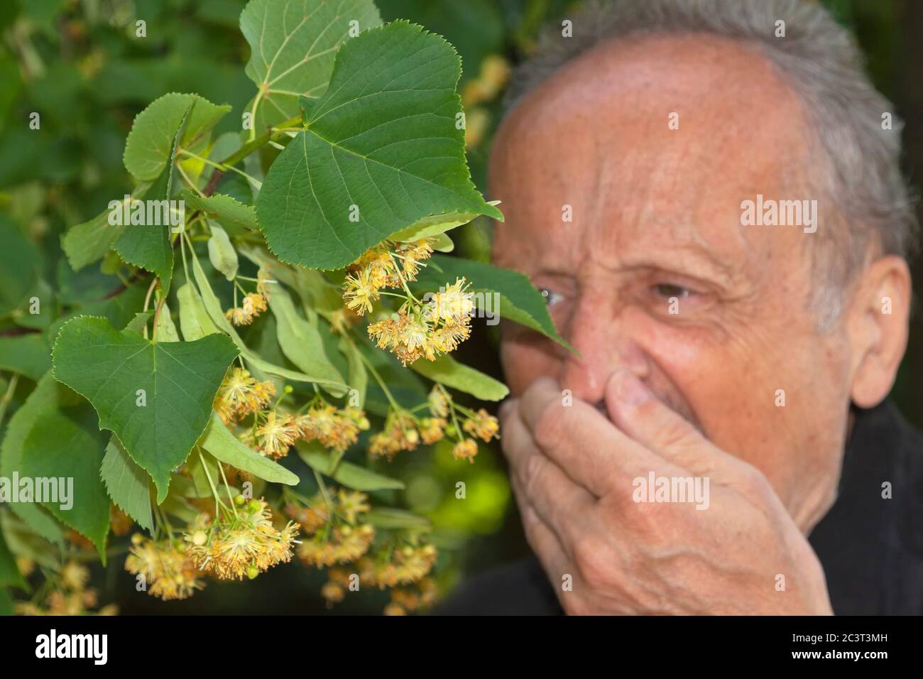 Pollenosis hi-res stock photography and images - Alamy