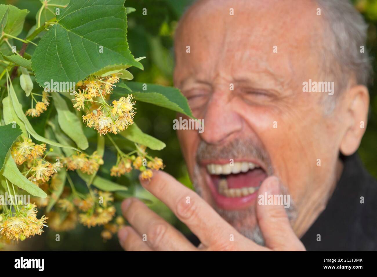 Pollenosis hi-res stock photography and images - Alamy