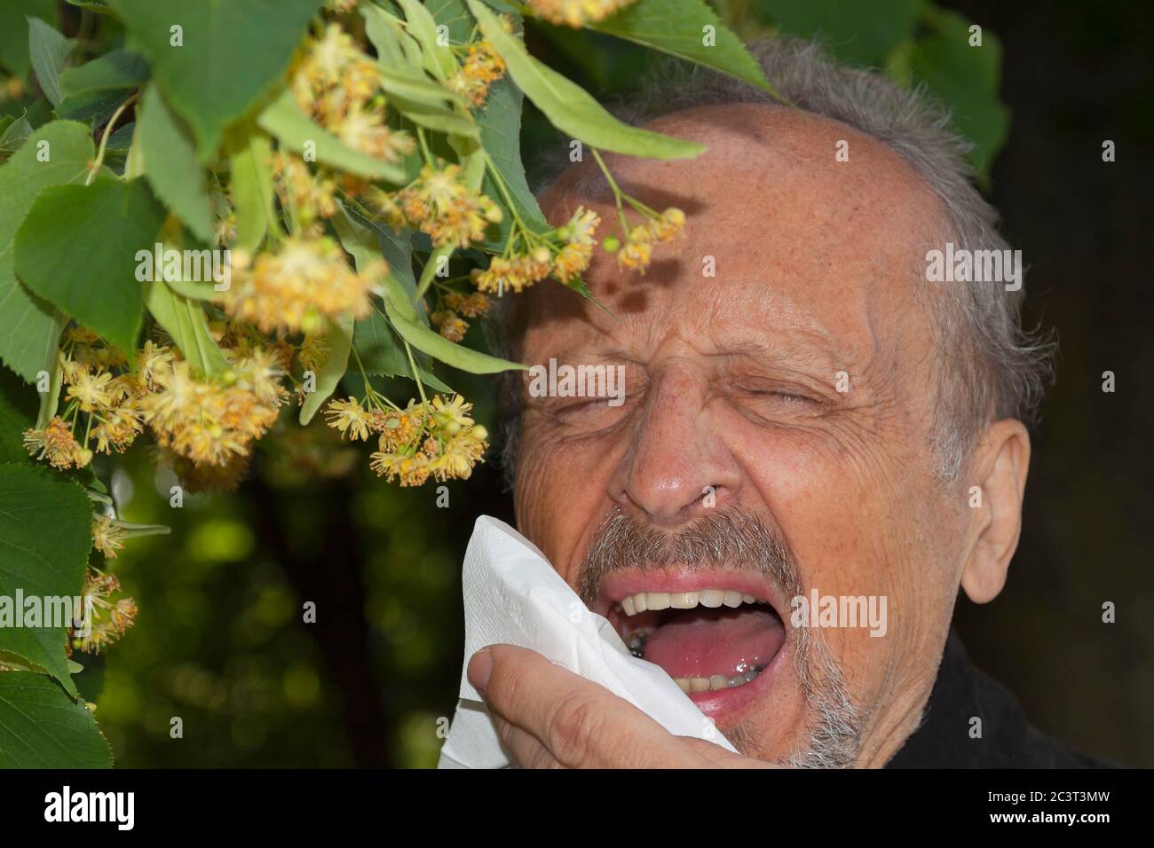 Pollenosis hi-res stock photography and images - Alamy