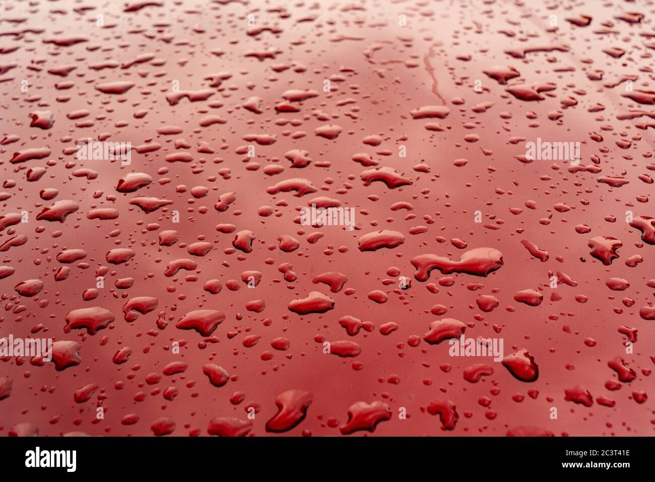 drops of water on a red surface Stock Photo - Alamy