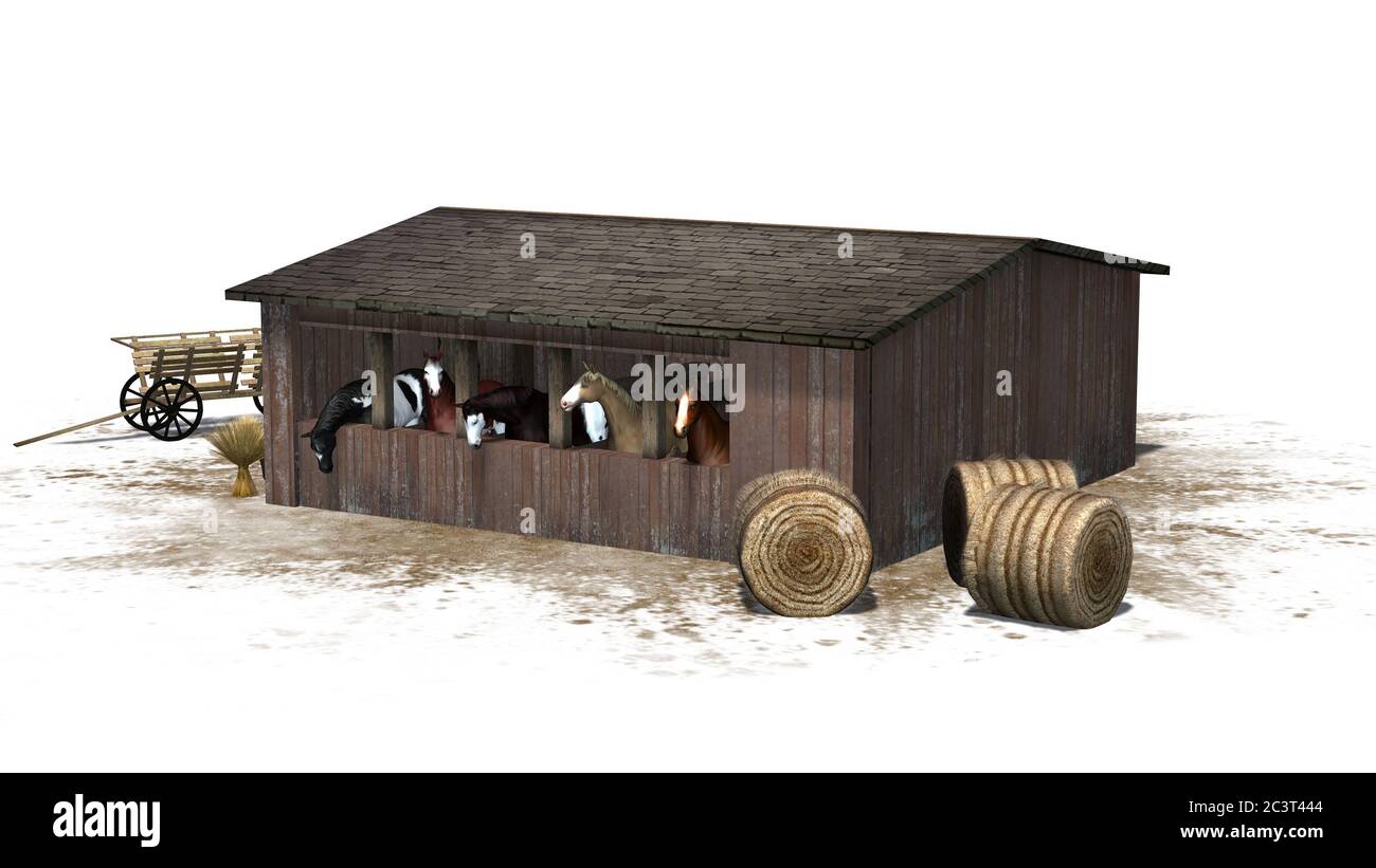horses in barn - isolated on white background Stock Photo - Alamy