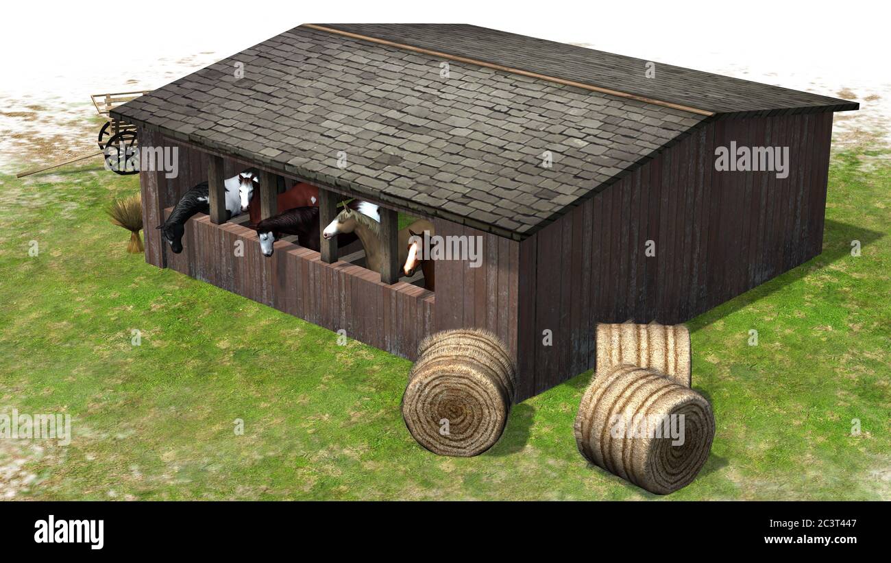 horses in barn - isolated on white background Stock Photo - Alamy