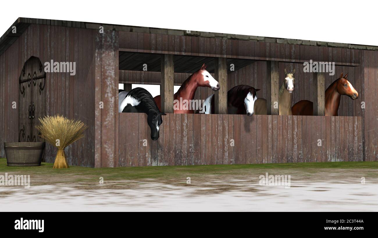 horses in barn - isolated on white background Stock Photo - Alamy