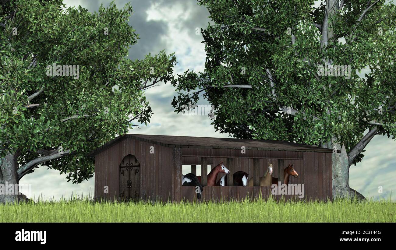 Horses in a old wooden barn between trees Stock Photo - Alamy