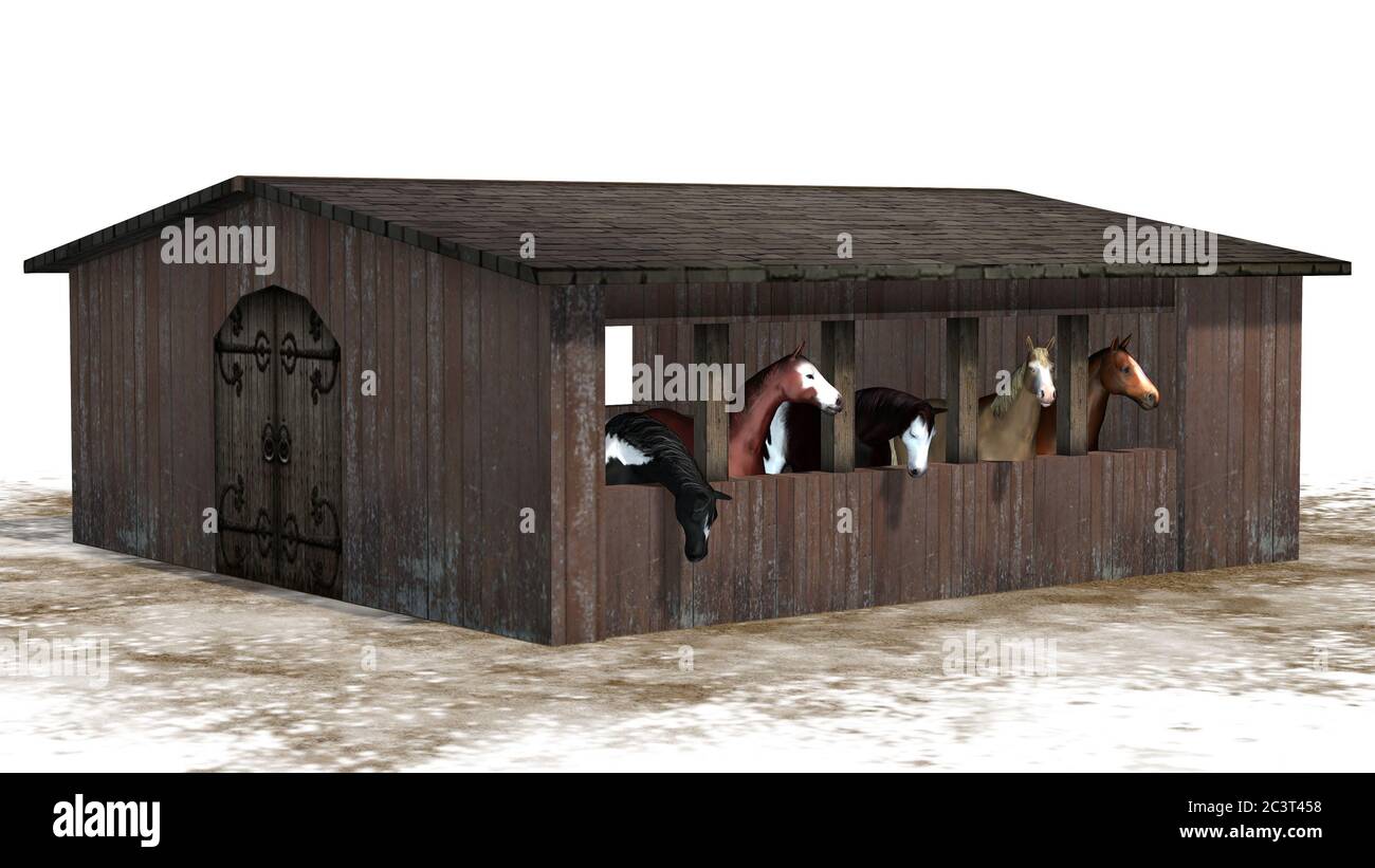 horses in barn - isolated on white background Stock Photo - Alamy
