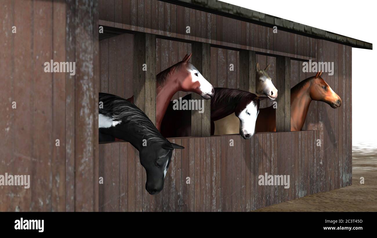 horses in barn - isolated on white background Stock Photo - Alamy