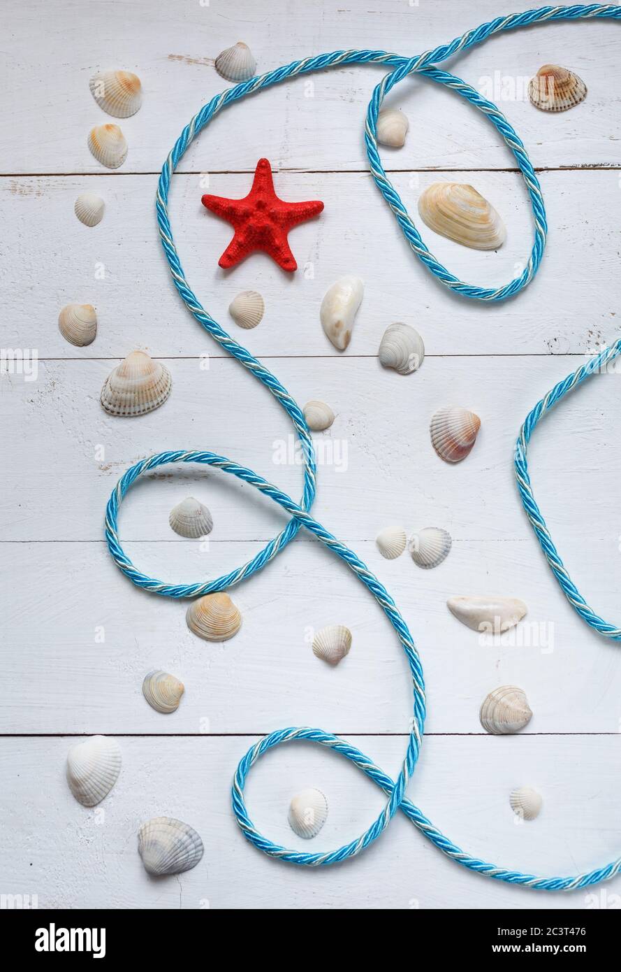 Sea rope with many different sea shells on a blue wooden background ...