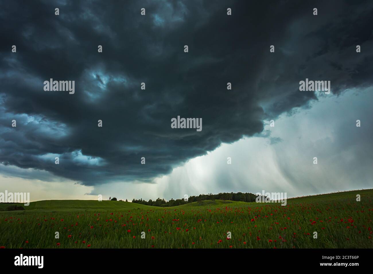 Supercell storm clouds with intense rain, Lithuania Stock Photo - Alamy