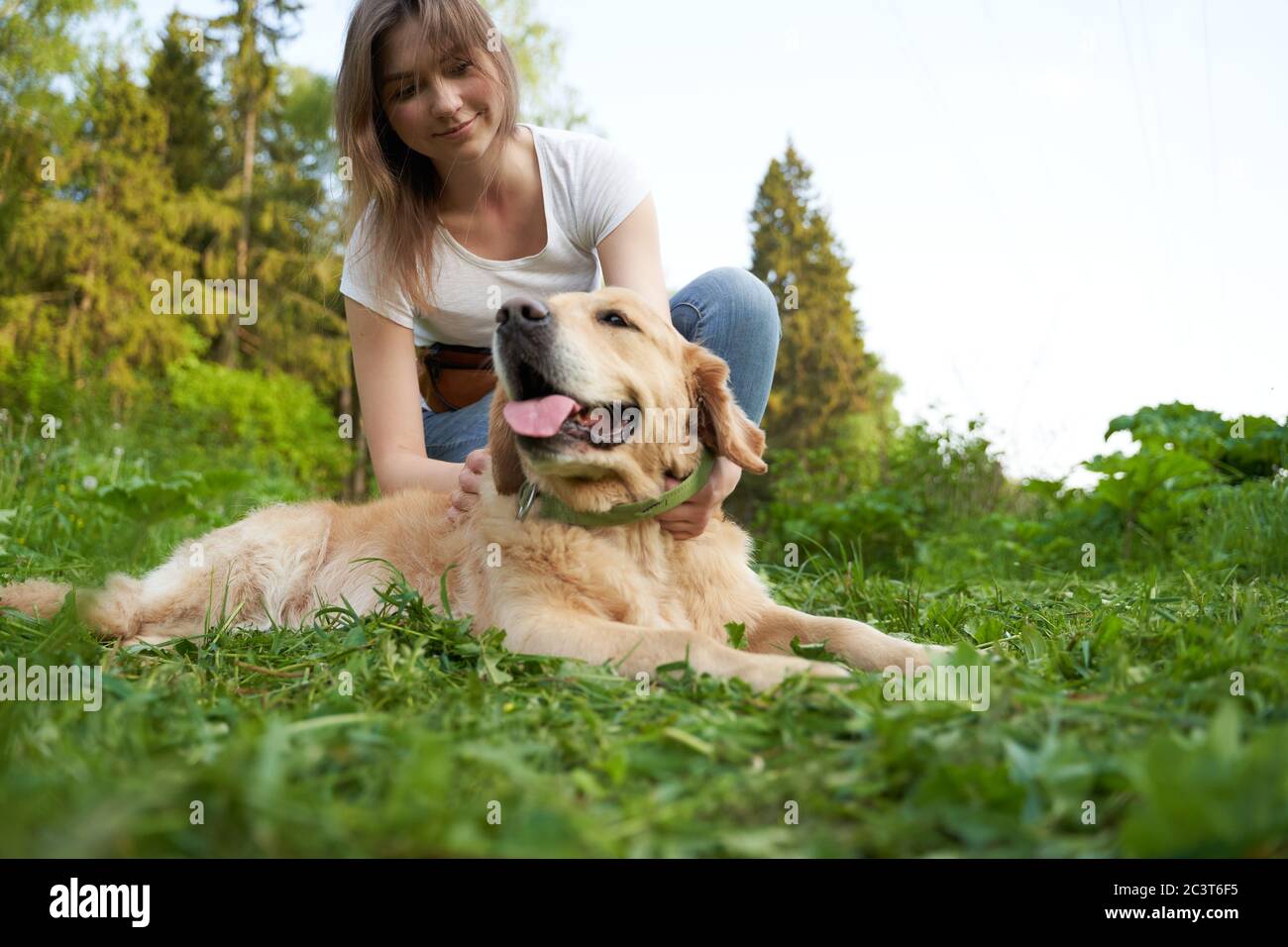 Squatting dog hi-res stock photography and images - Alamy