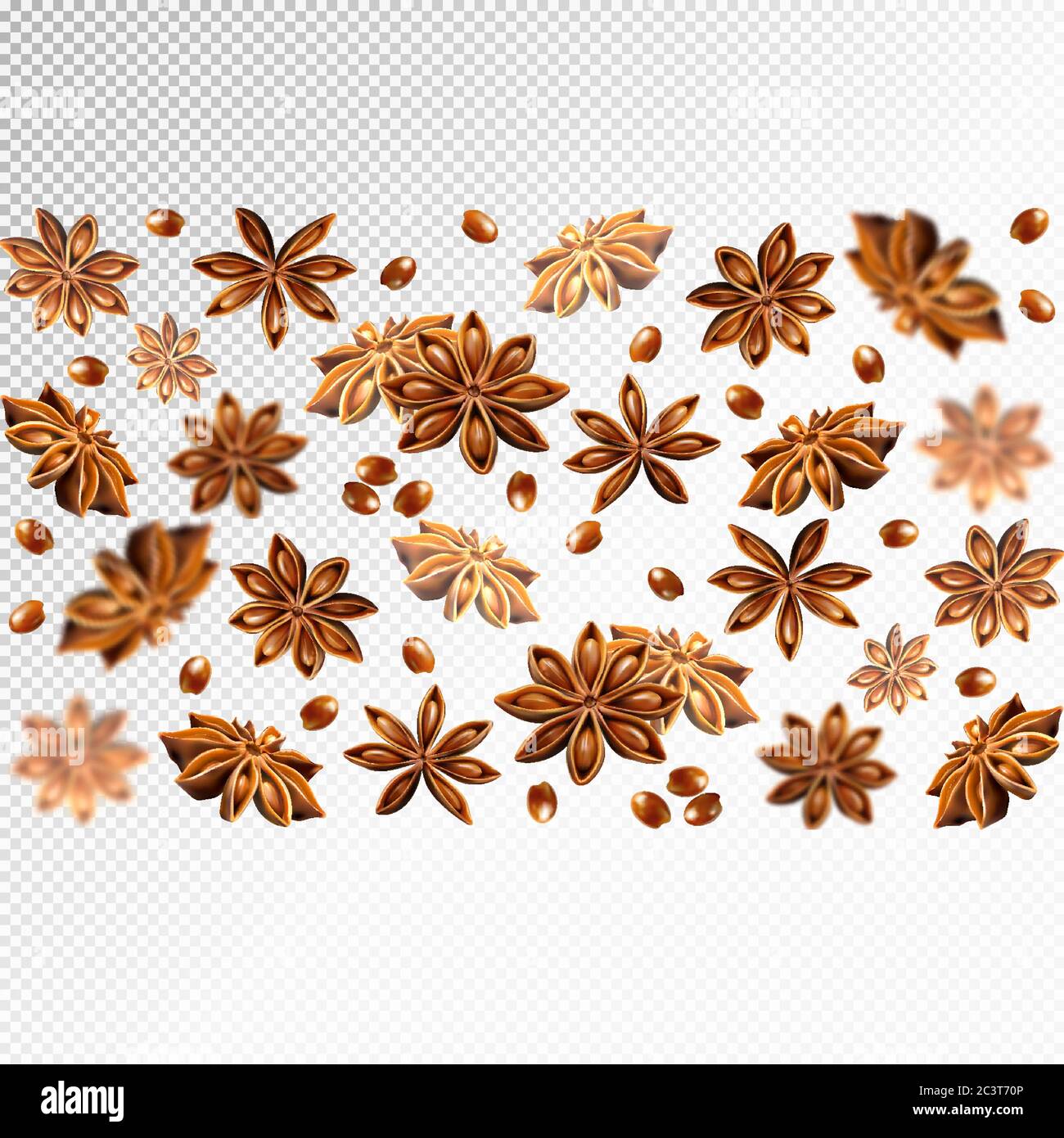Star Anise Vector
