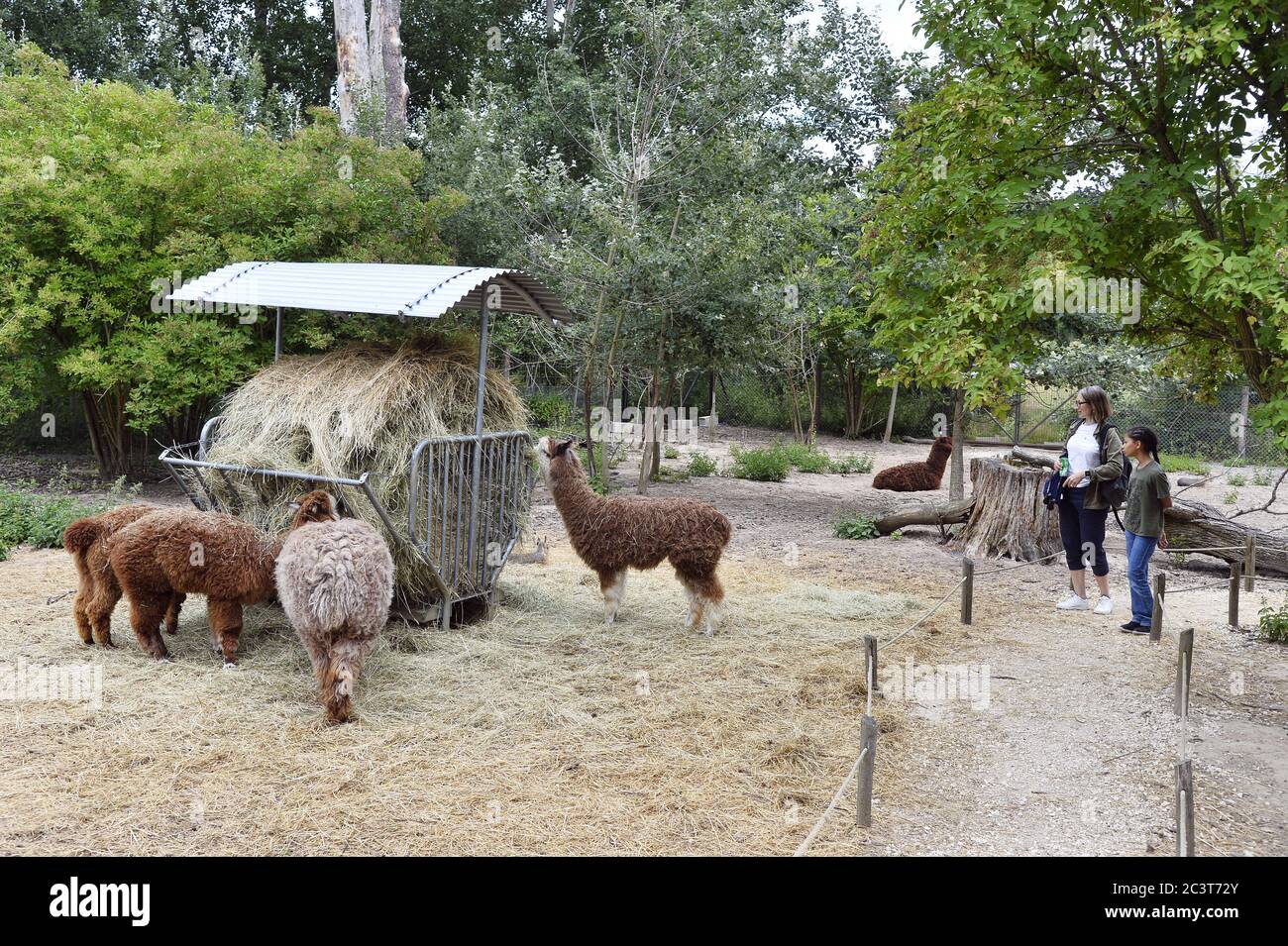 Thoiry Animals Zoo Park - Yvelines - France Stock Photo - Alamy