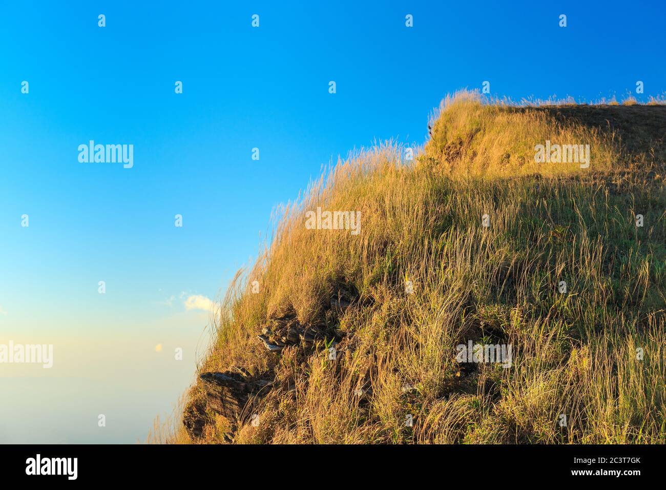 Scene of cliff full of grass with blue sky Stock Photo - Alamy