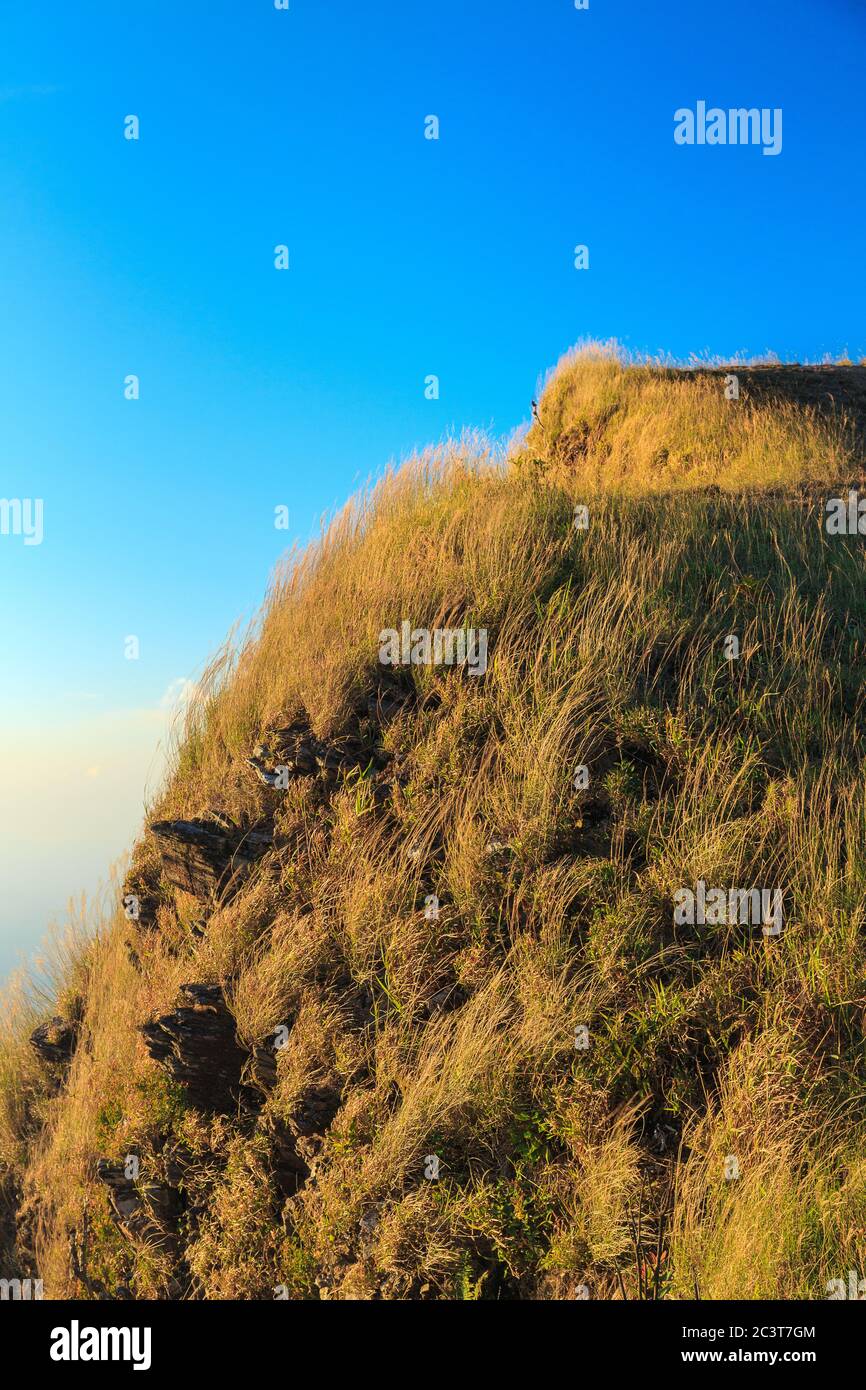 Scene of cliff full of grass with blue sky Stock Photo - Alamy