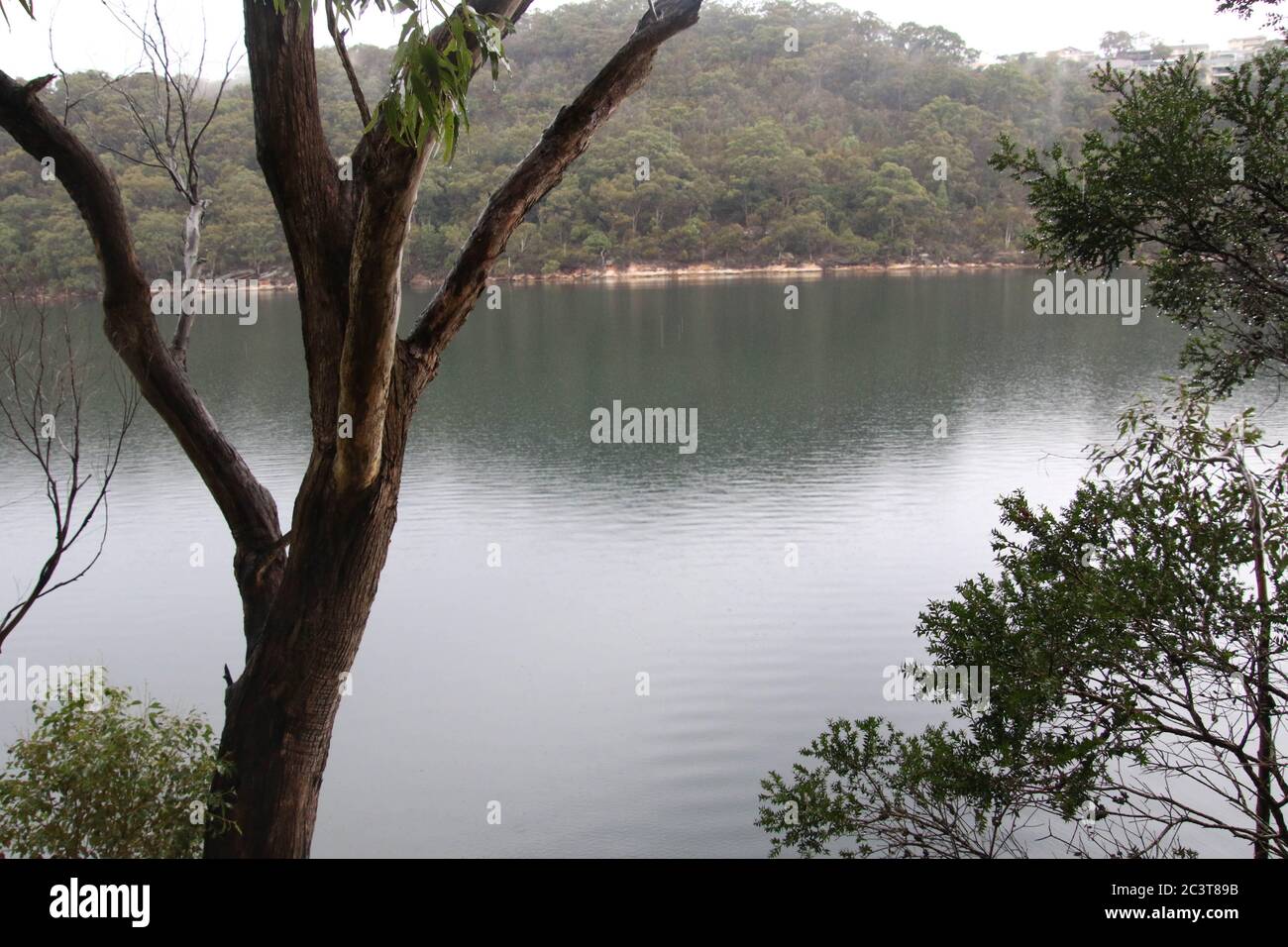 View of Middle Harbour, Garigal National Park, Sydney, NSW, Australia ...