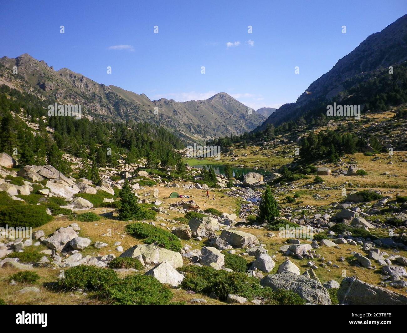 Landscape of a high mountain valley during the day full of trees with ...