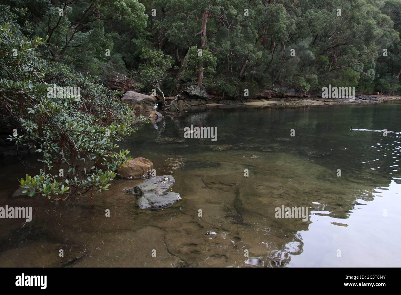 View from Flat Rock Beach on Middle Harbour, Garigal National Park ...