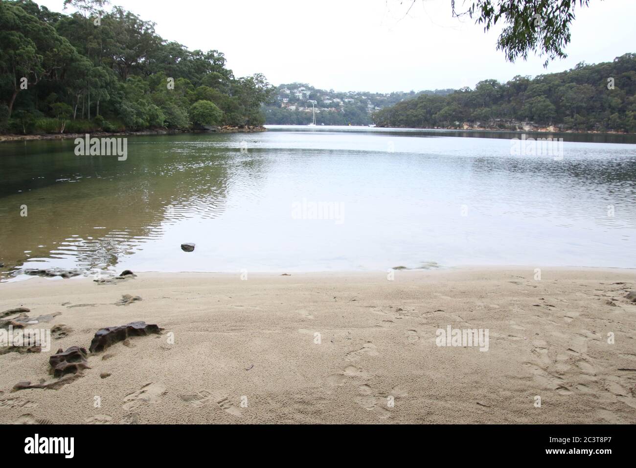 Flat Rock Beach on Middle Harbour, Garigal National Park, Sydney, NSW ...