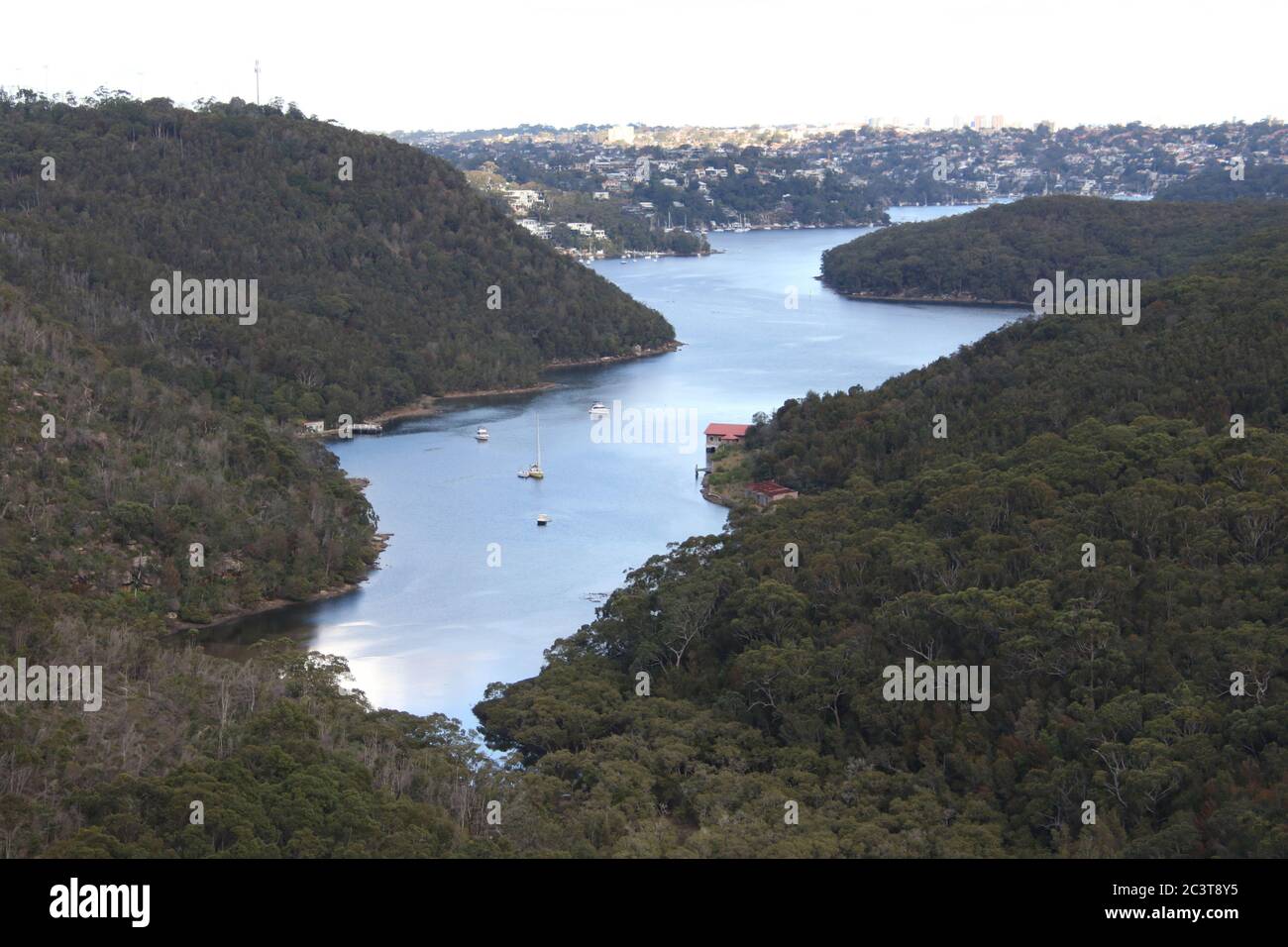 View over Bantry Bay, Middle Harbour from The Bluff Lookout, Garigal ...