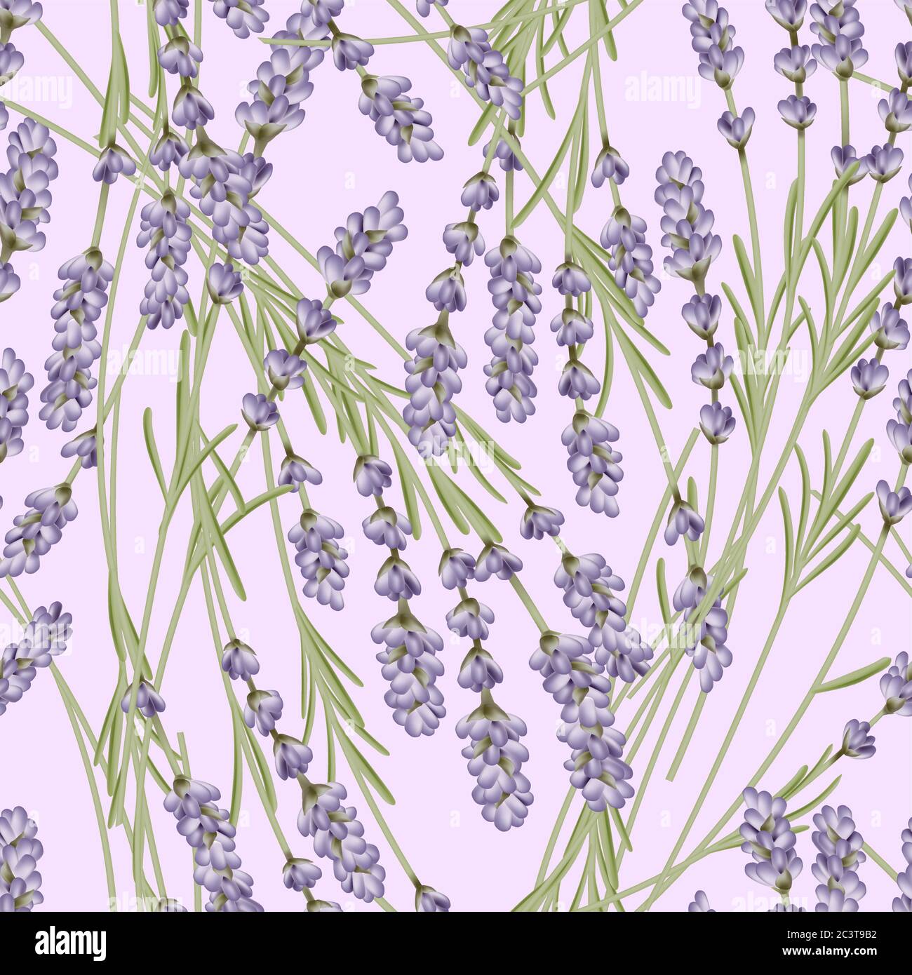 Vector French Lavender Seamless Pattern in Pastel Pink Background Stock ...